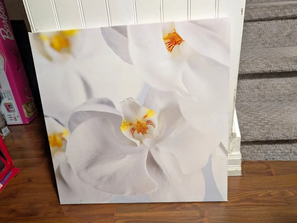 Set of 3 Orchid Floral Canvas Prints – 22” x 22” each | Karrot
