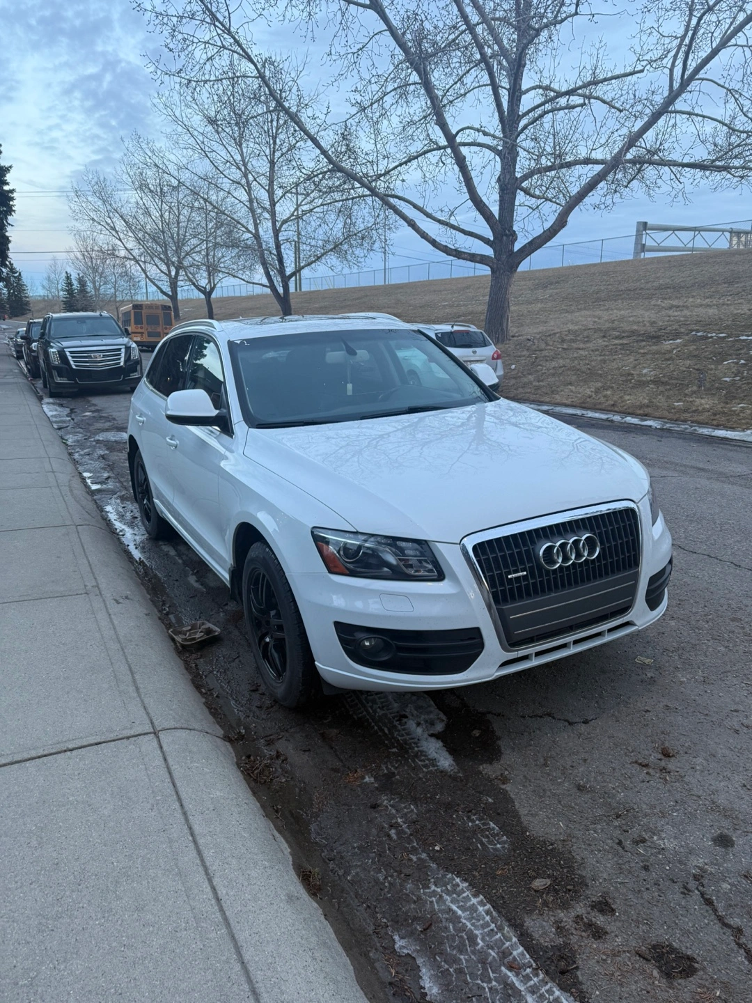 2010 Audi Q5 Quattro - White SUV | Karrot