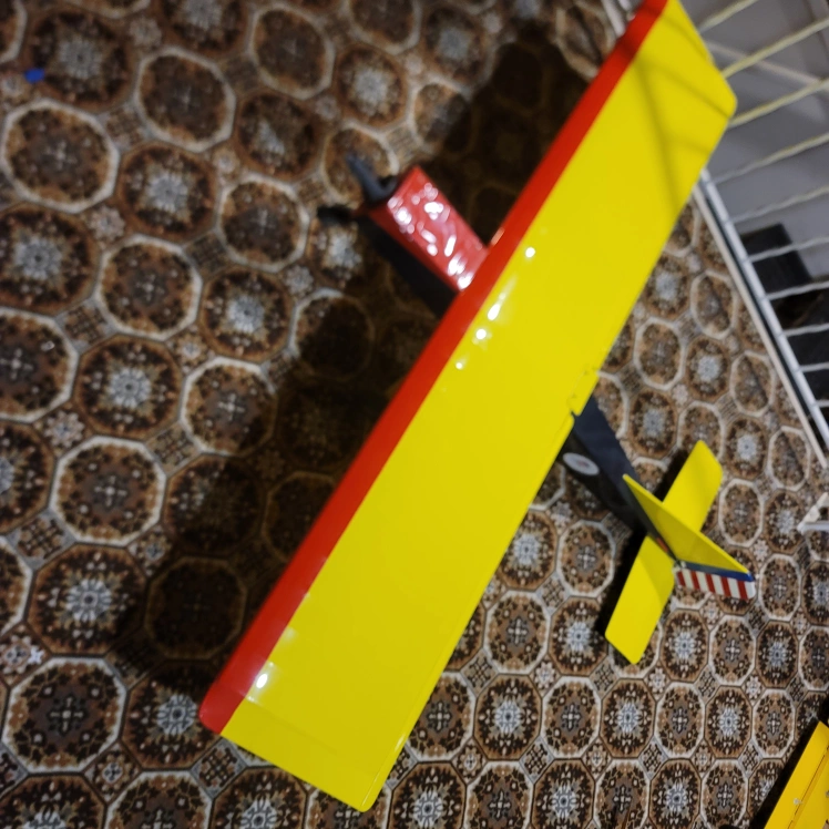 Vintage Radio-Controlled Airplane Model | Karrot