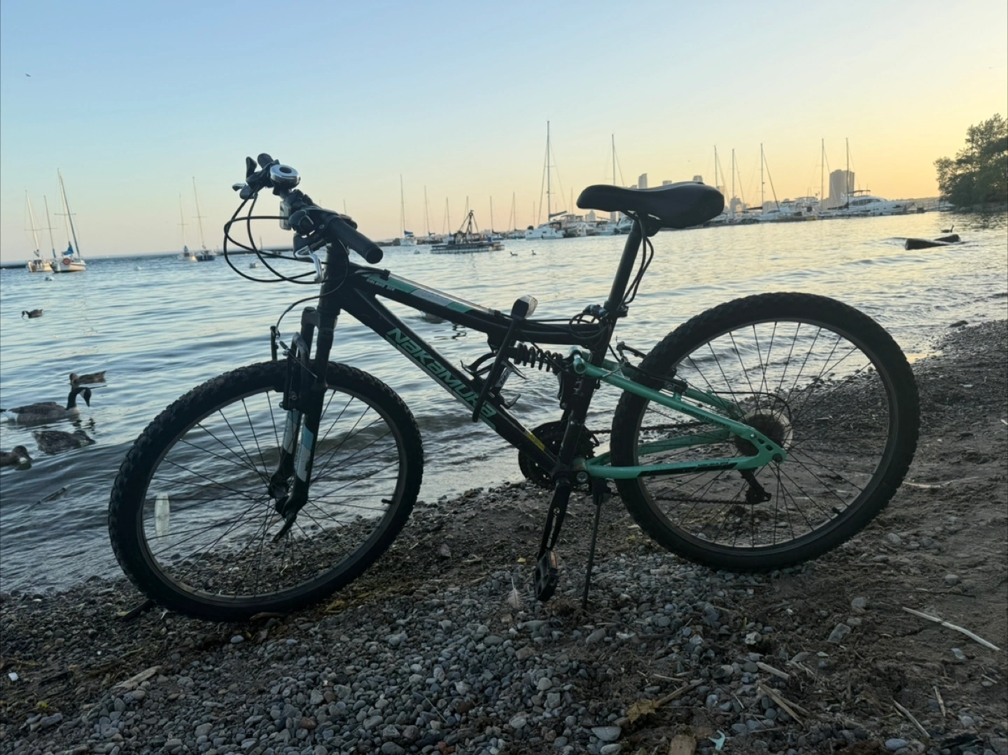 Nakamura Mountain Bike | Karrot