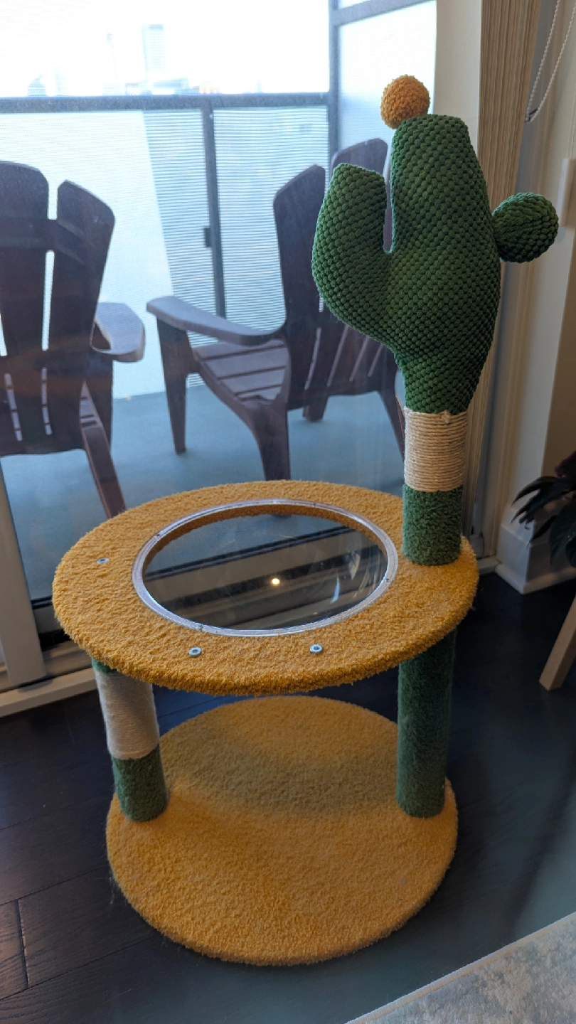 Cactus Cat Scratcher with Peek-a-Boo Hole 🥕 | Karrot