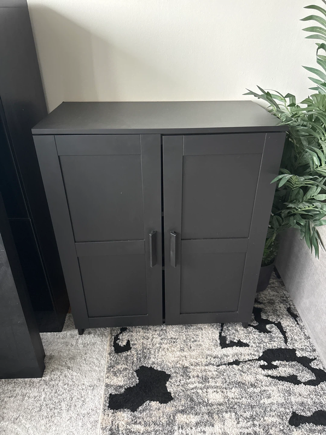 IKEA Black Cabinet | Karrot