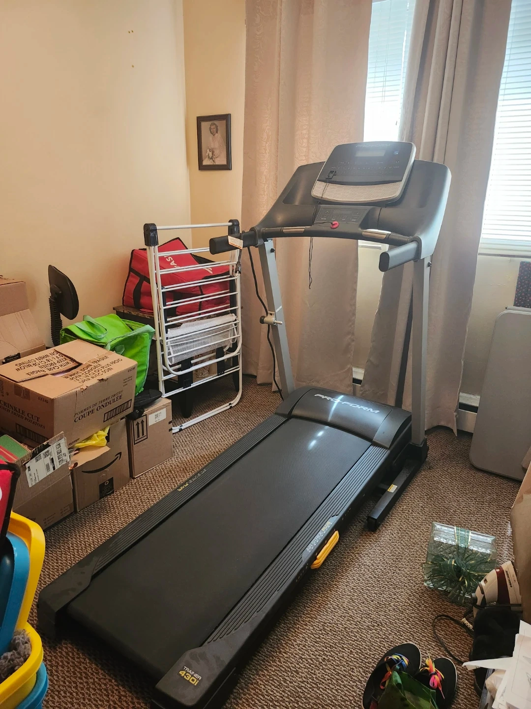 Pro-Form 430i Treadmill | Karrot