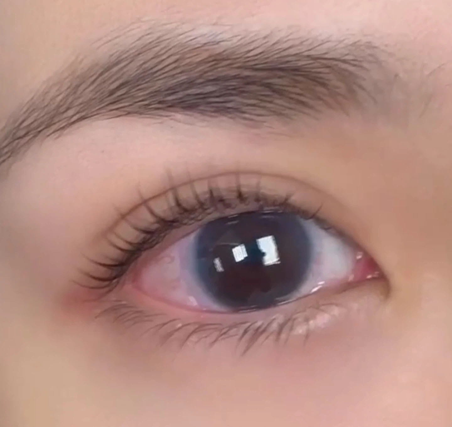 O/Hare R'Apido Aroma Curl Cream & Aroma Fix Cream | Karrot