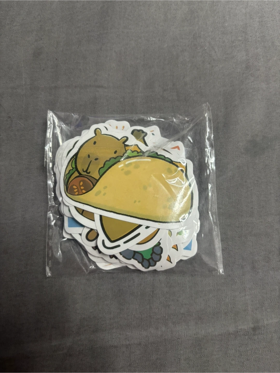 Cute Capybara Stickers 🧡 | Karrot