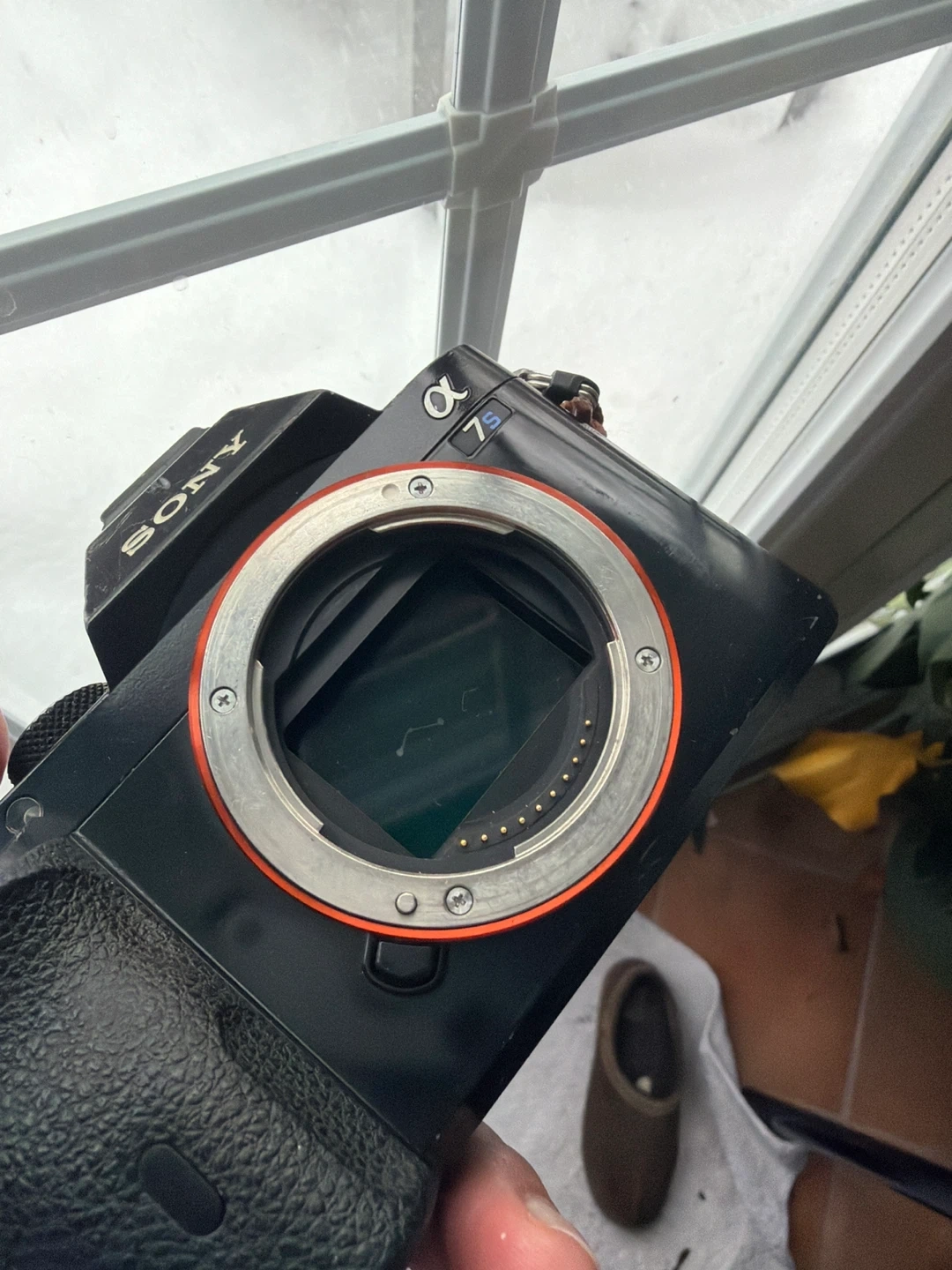 Sony Alpha a7S Mirrorless Camera with FE 24-70mm f/4 Lens | Karrot