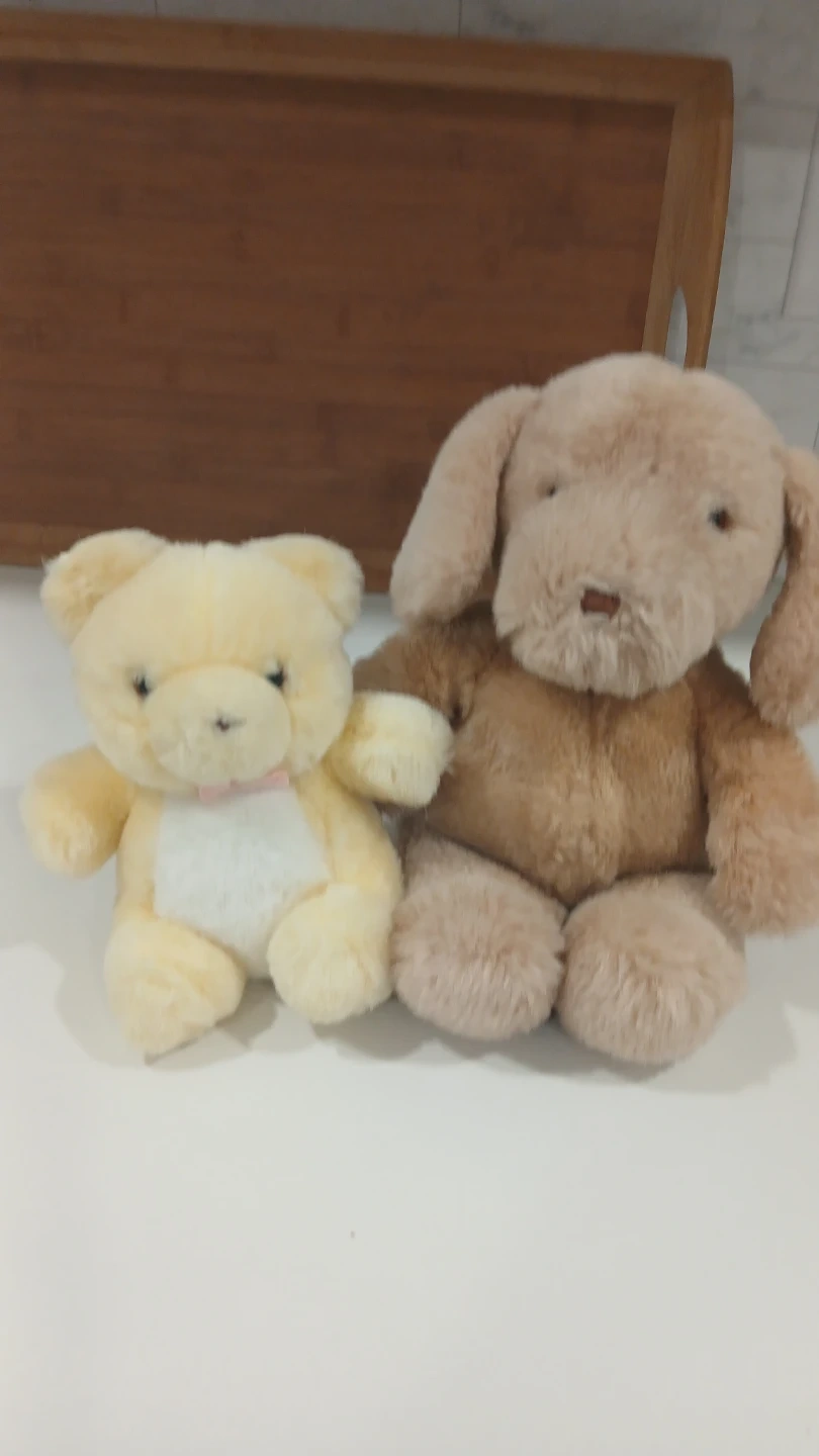 Two Plush Gund Toys | Karrot