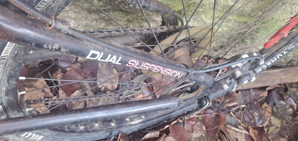 Orange Dual Suspension Mountain Bike | Karrot