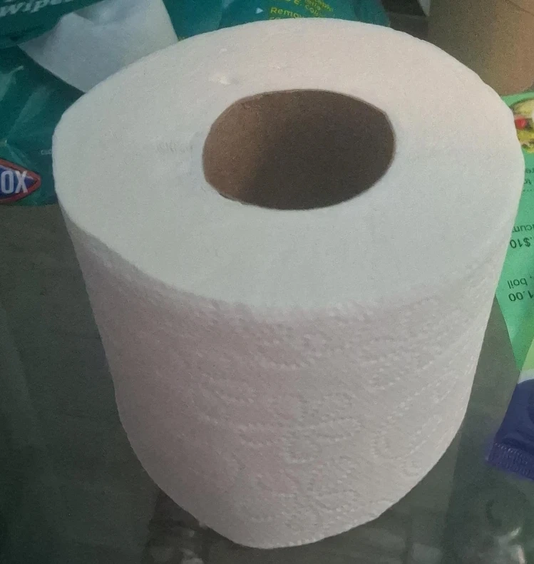 Toilet Paper Roll | Karrot