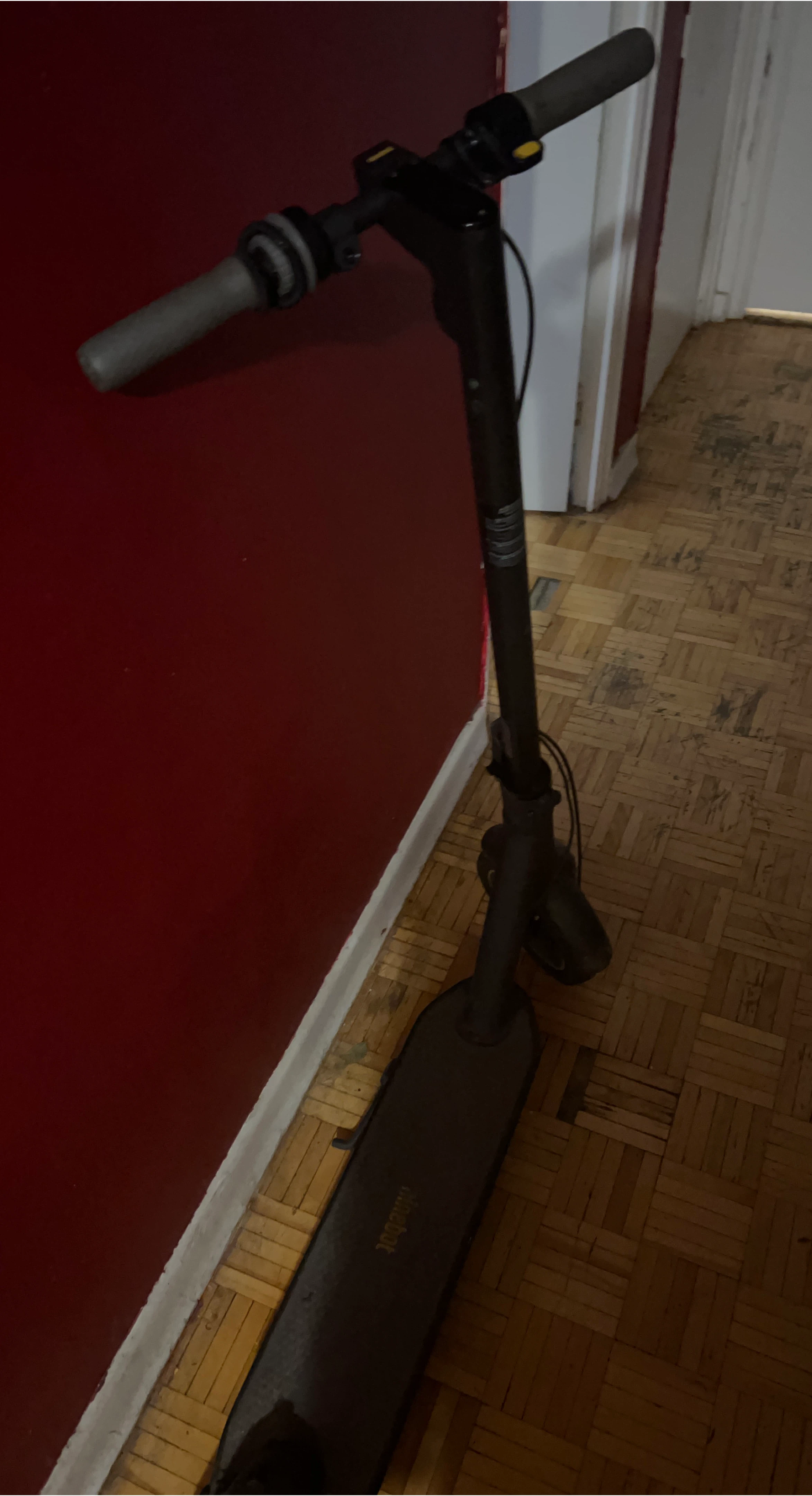 Ninebot Electric Scooter | Karrot